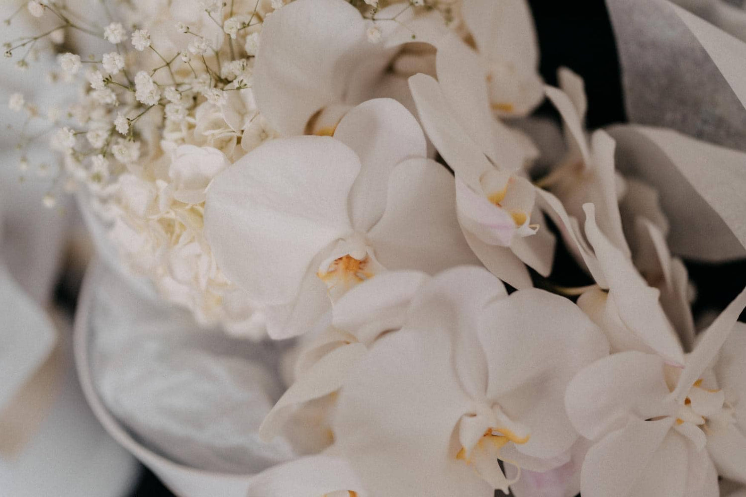 Submitted – Bituin